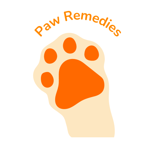 Paw Remedies: Protect Your Pet's Paws with Care