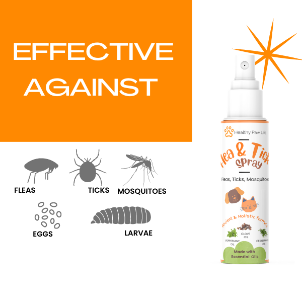 Natural Flea and Tick Spray – Safe for Dogs & Cats – Healthy Paw Life
